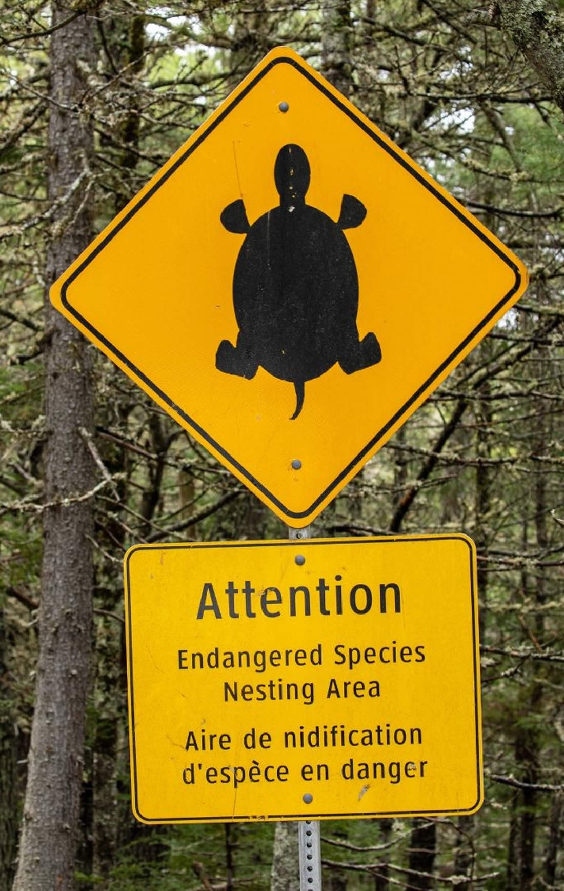 Wildlife Habitat - Kespukwitk Conservation Collaborative